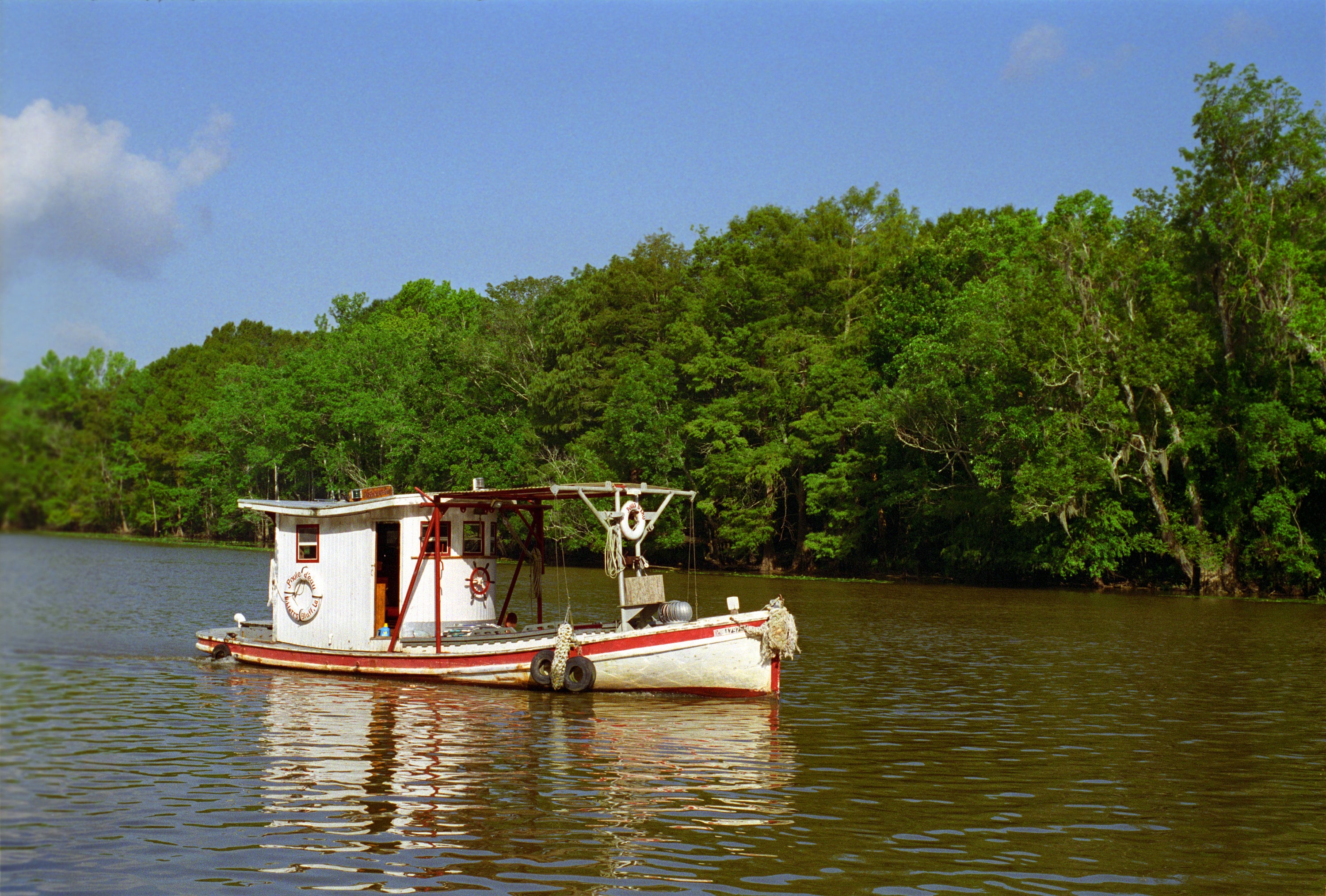 Canot Lugger oyster Boat poule Deau moorhen Sabine River, SW Louisiana ...