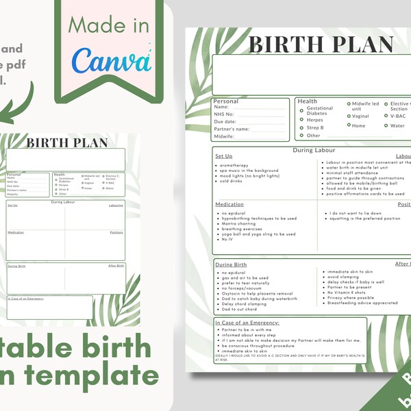 Maternity Plan Template - Etsy