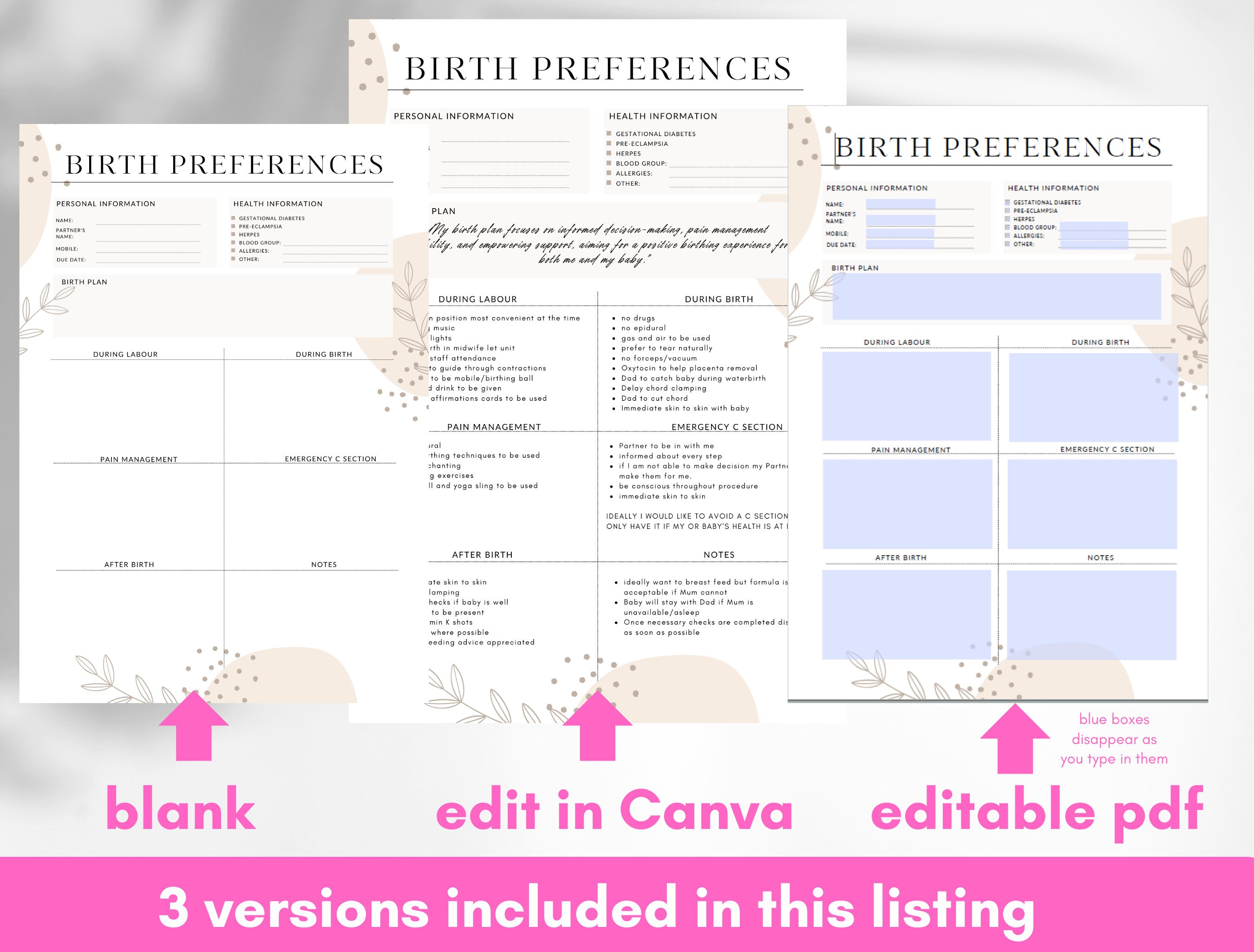 Birth Plan Template Birthing Preferences Printable Birthing Plan Labour ...