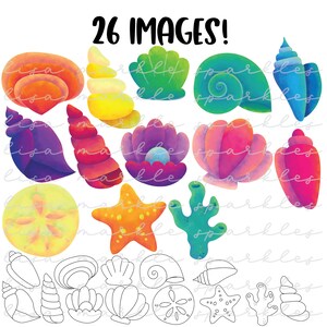 Watercolor Sea Shell Clipart Beach Ocean Summer Starfish Nautical Clam ...
