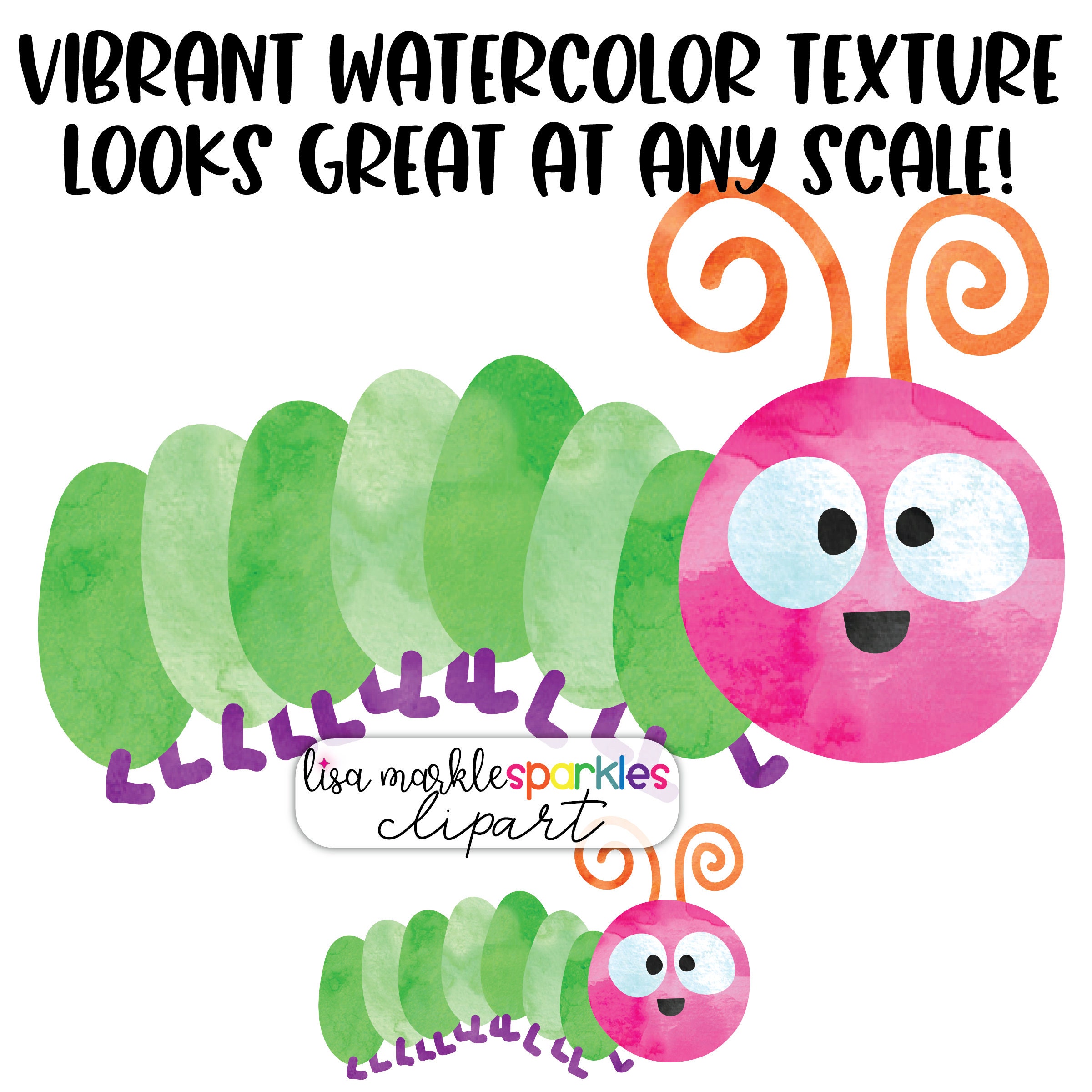 Watercolor Bug Clipart Watercolor Insect Clipart Spring | Etsy