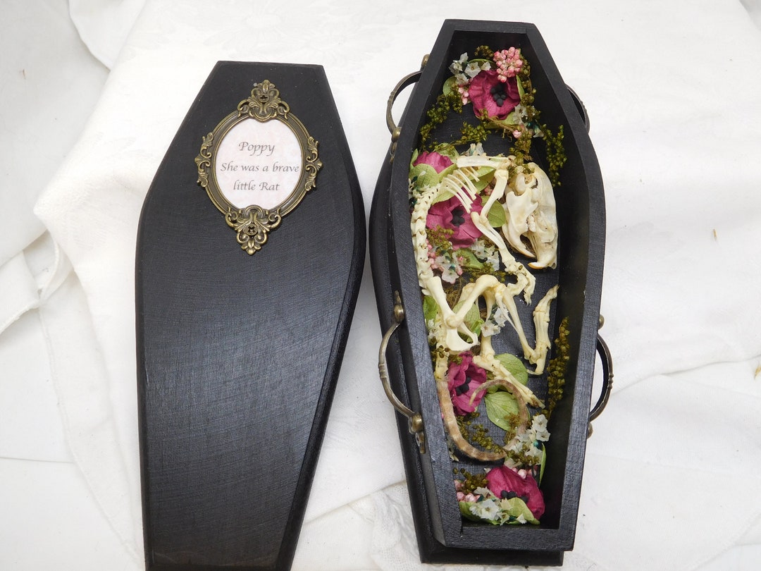 Poppy Articulated Rat Skeleton in Coffin - Etsy
