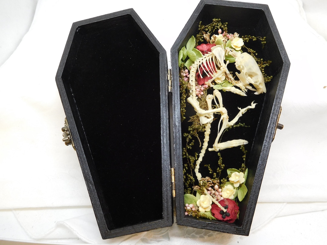 Rosie Articulated Rat Skeleton in Coffin - Etsy