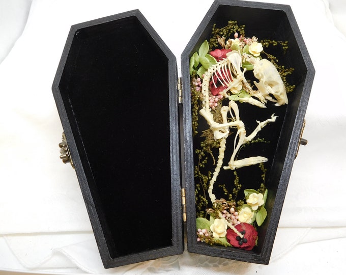 Rosie - Articulated Rat Skeleton in Coffin - Etsy