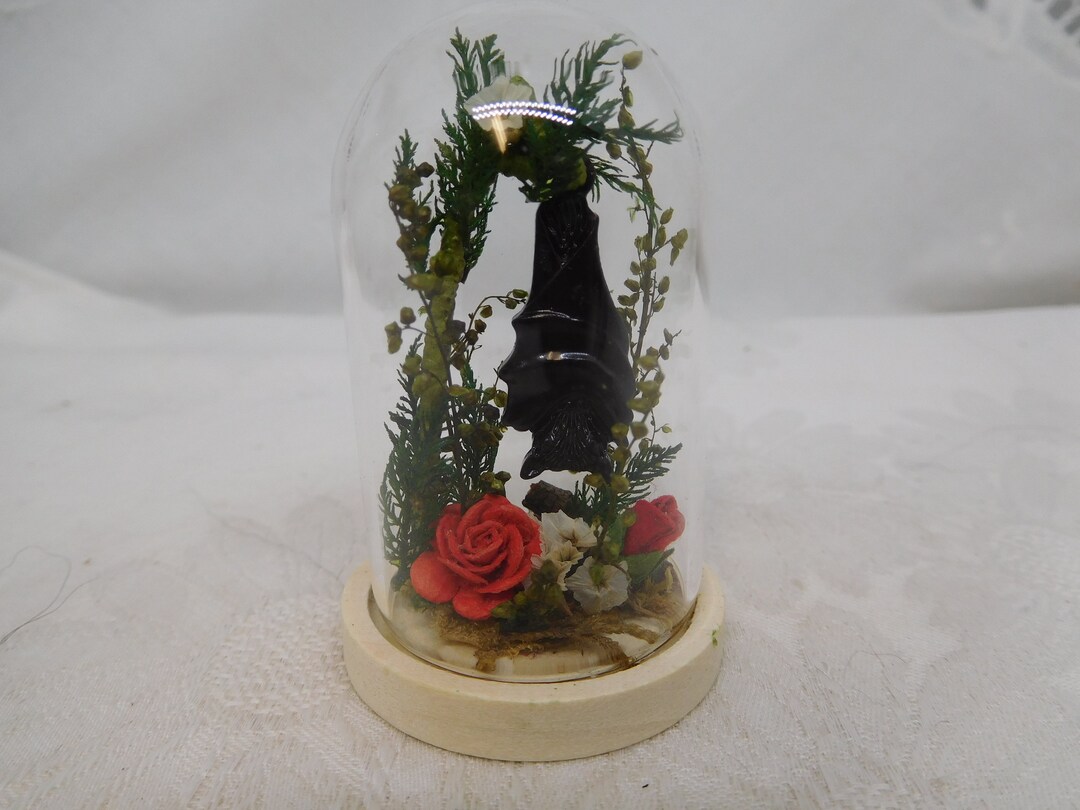 Micro Faux Metal Bat Dome - Etsy