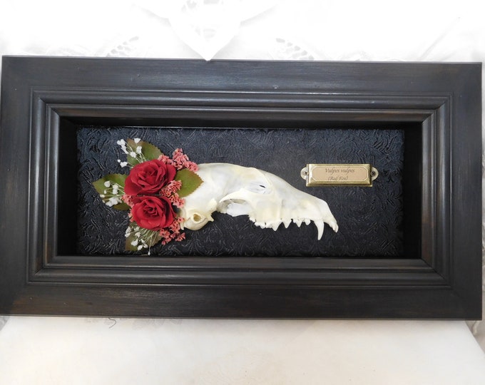 Bisected Fox Skull With Roses - Etsy