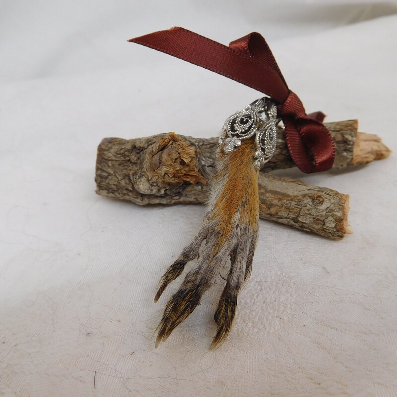 Squirrel Feet - Etsy
