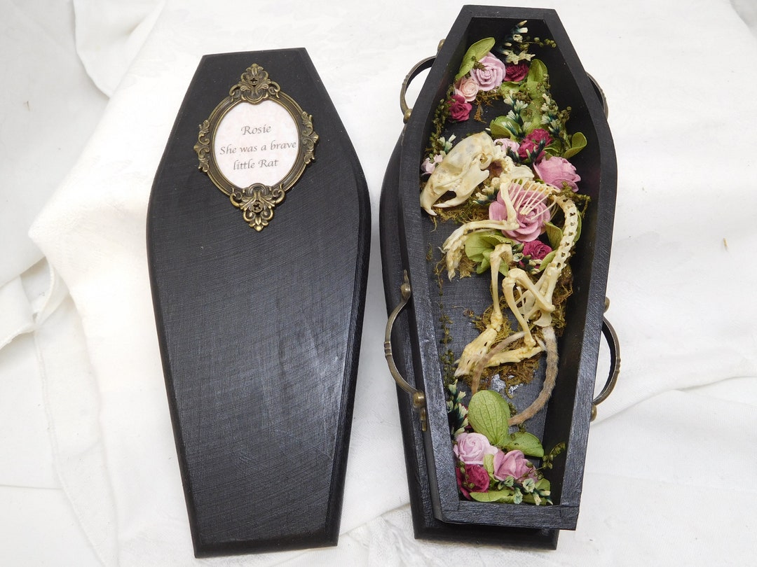 Rosie Articulated Rat Skeleton in Coffin - Etsy