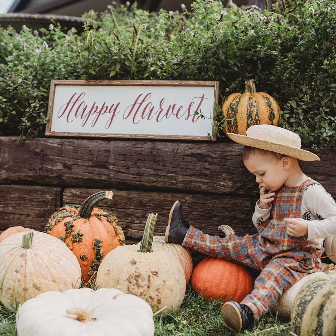 Happy Harvest Sign | Wood Sign | Fall Sign | Fall Decor | Harvest Decor ...