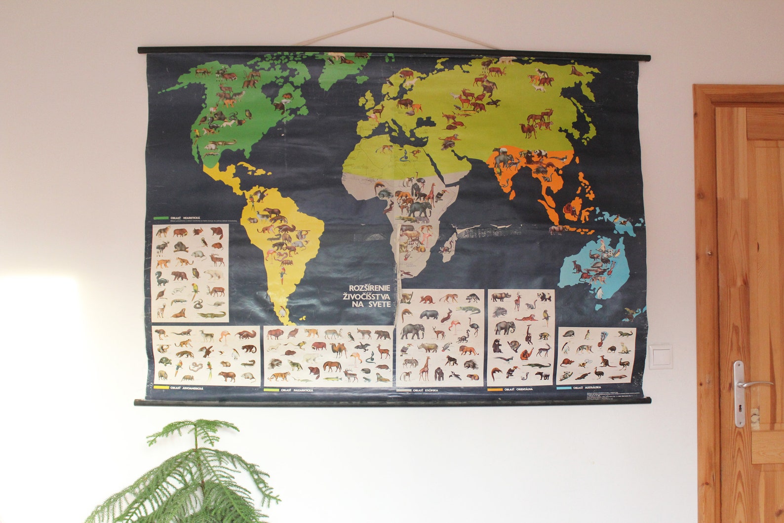 Animal World Map, Large Map, Pull Down Chart, Fauna Poster, Vintage Map ...