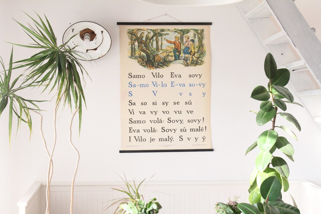 School Vintage Chart Pull Down Poster Original Vintage Wall Hanging ...