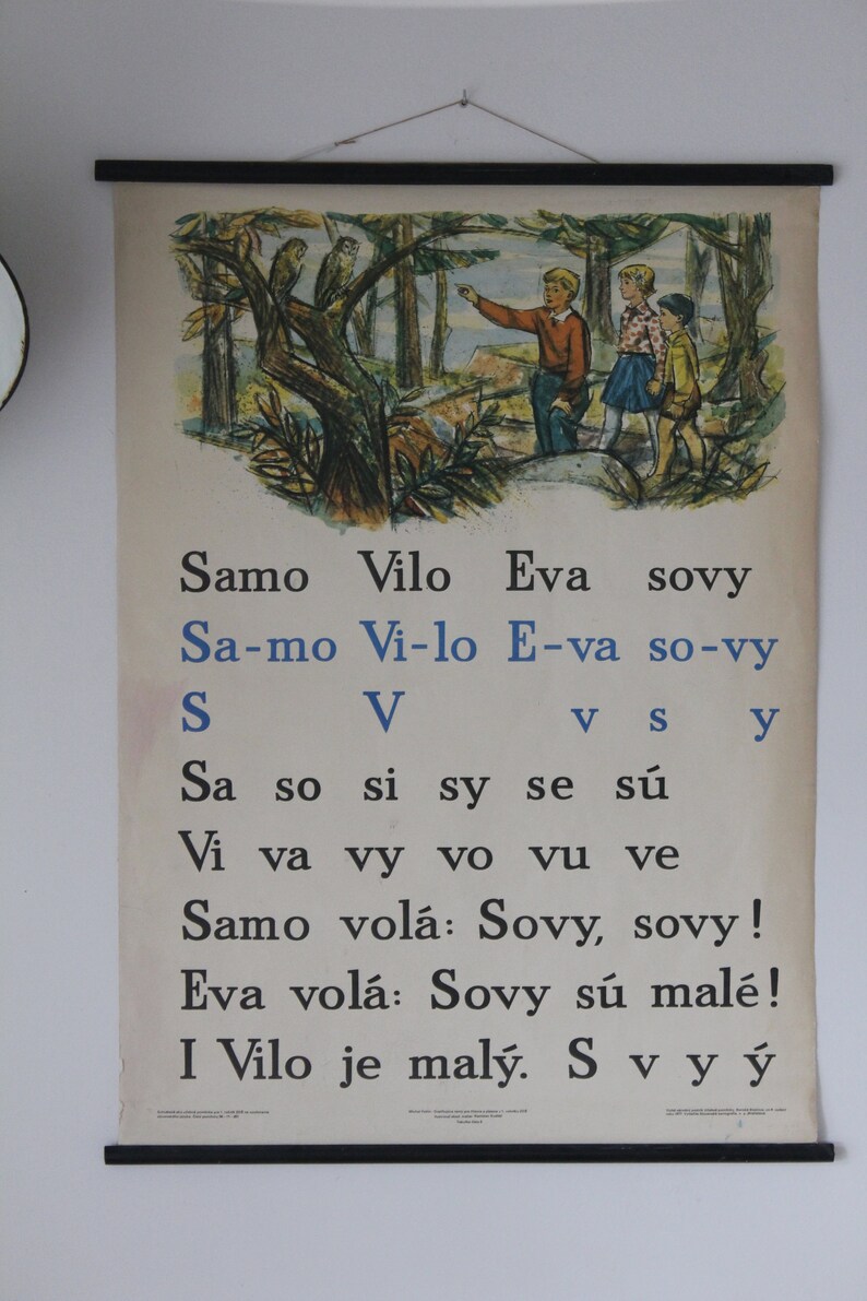 School Vintage Chart Pull Down Poster Original Vintage Wall Hanging ...