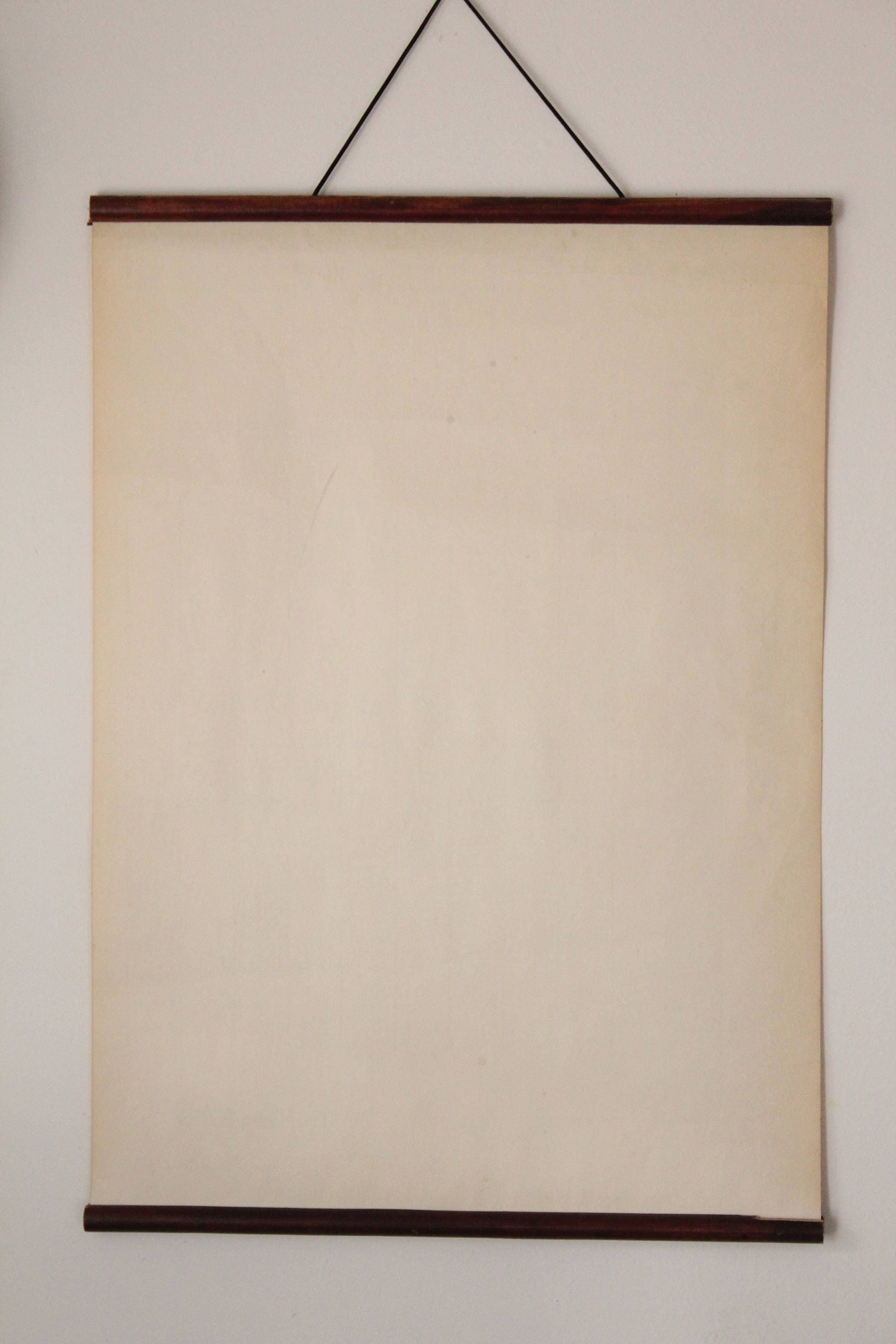 Vintage School Chart, Biogenic Elements Poster, Pull Down Biological ...