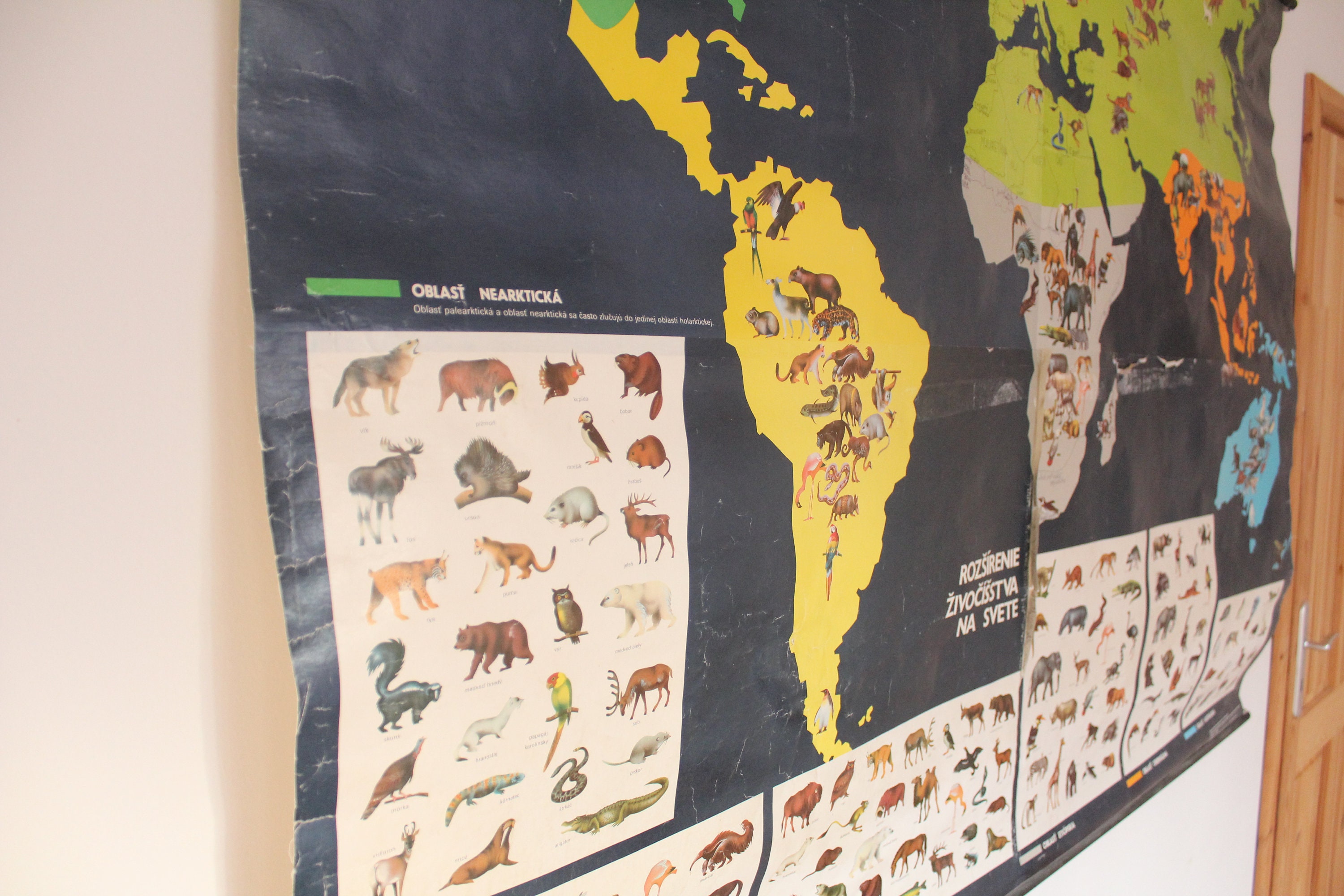 Animal World Map, Large Map, Pull Down Chart, Fauna Poster, Vintage Map ...