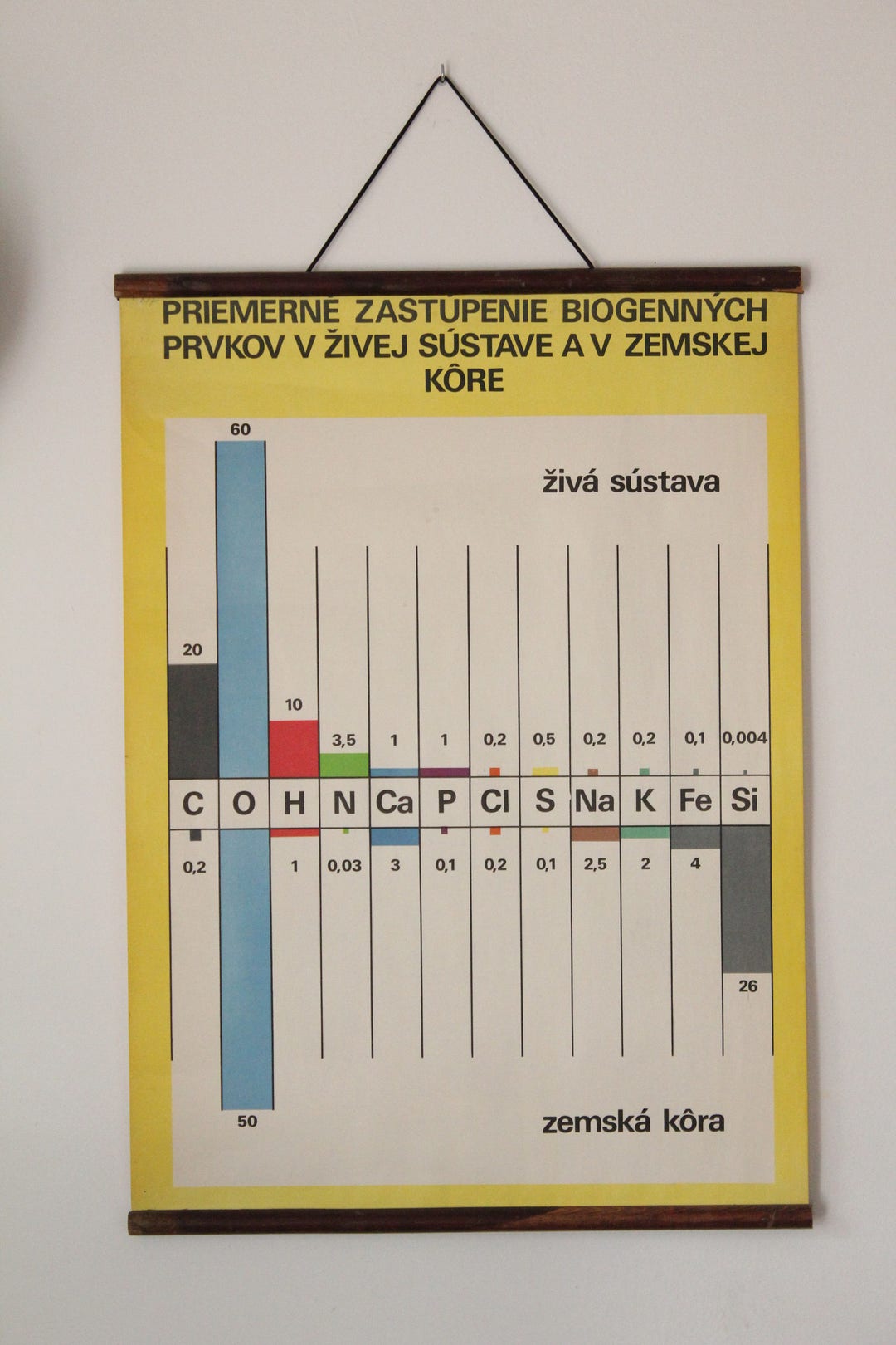 Vintage School Chart, Biogenic Elements Poster, Pull Down Biological ...