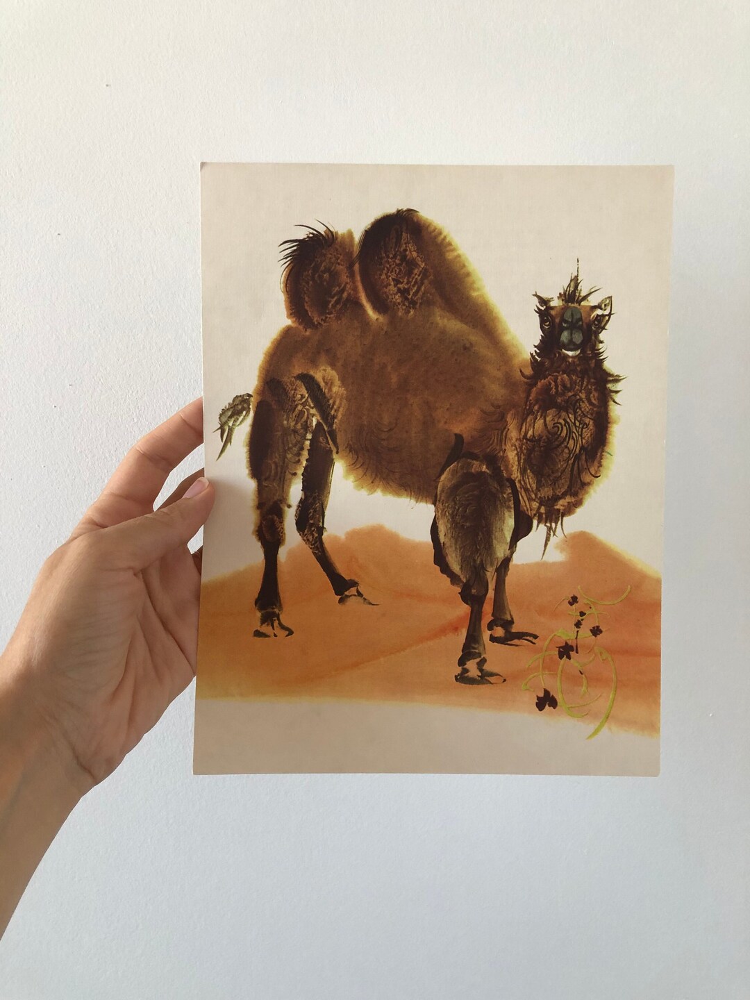 Camel Watercolor Print Vintage Poster Made in Czechoslovakia Animal ...