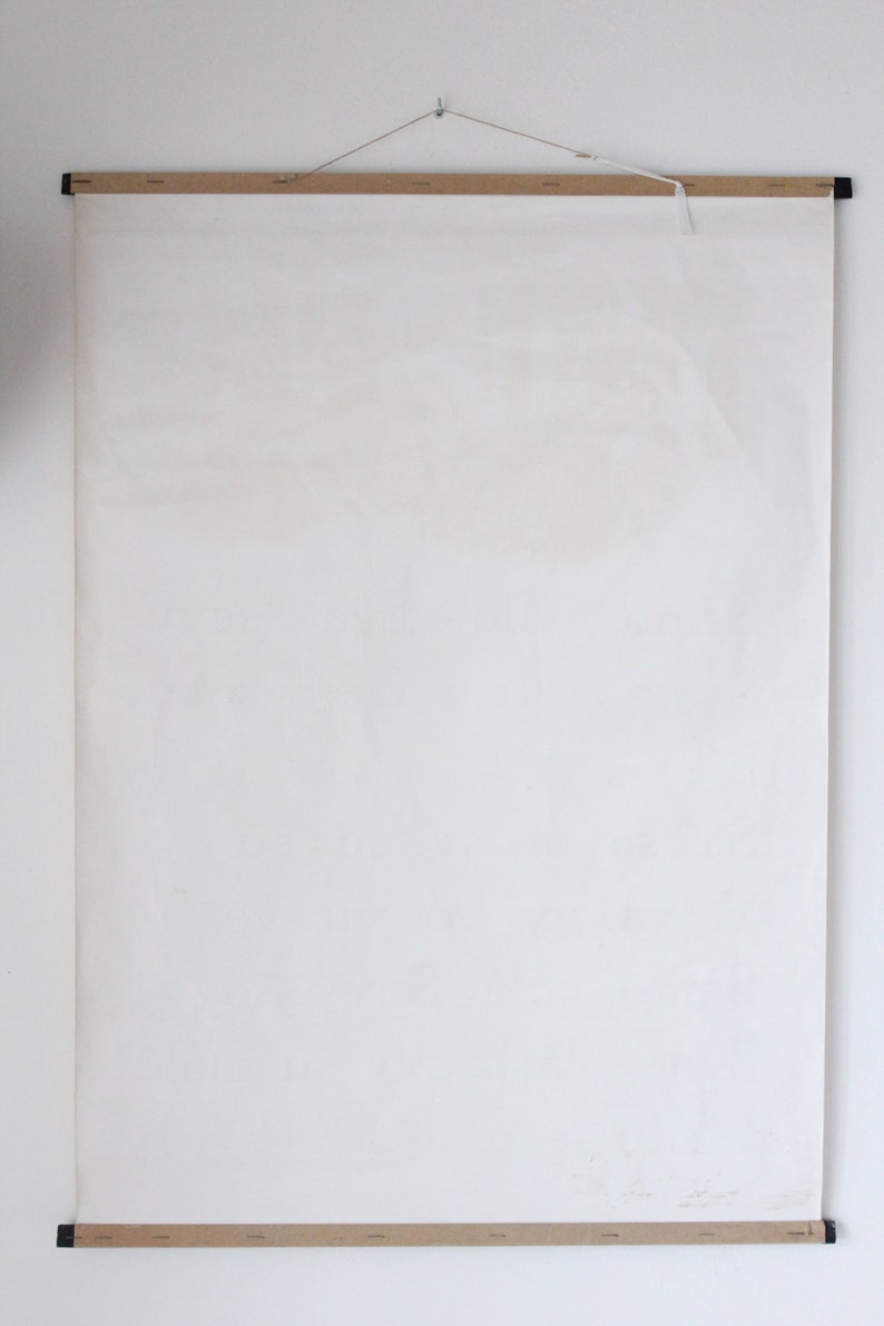 School Vintage Chart Pull Down Poster Original Vintage Wall Hanging ...