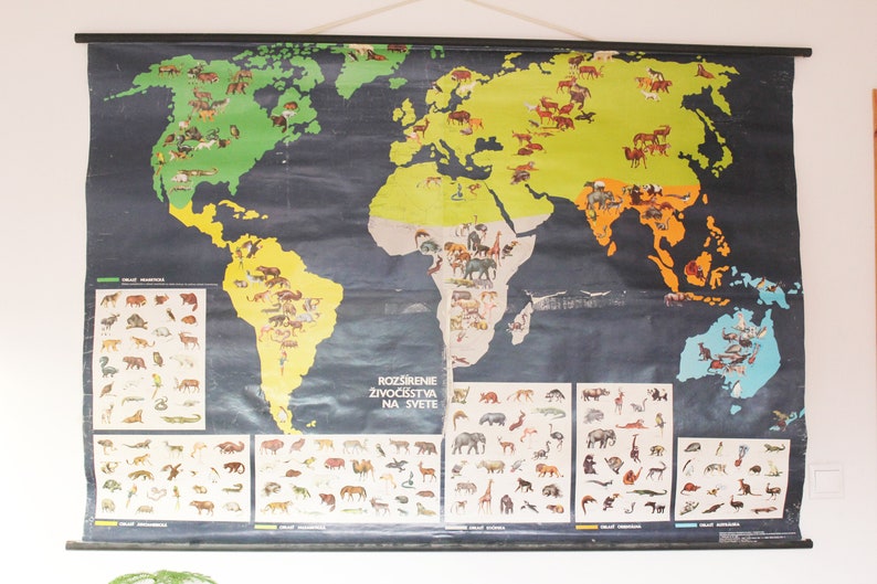 Animal World Map, Large Map, Pull Down Chart, Fauna Poster, Vintage Map ...