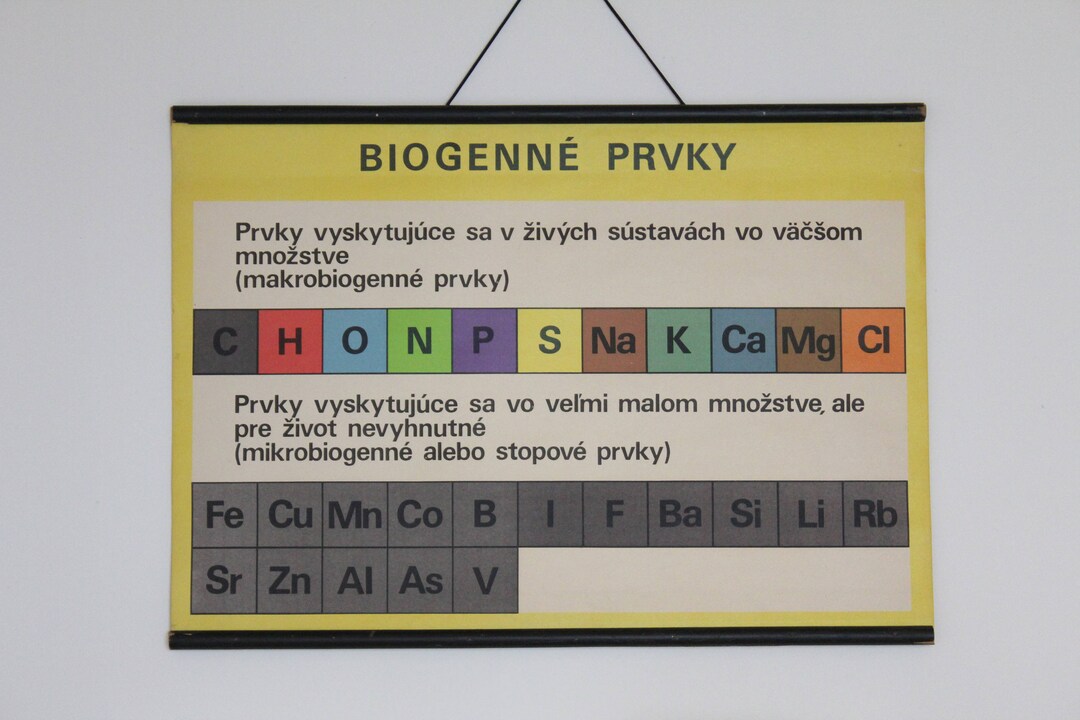 Biogenic Elements School Chart, Pull Down Poster, Original Vintage ...