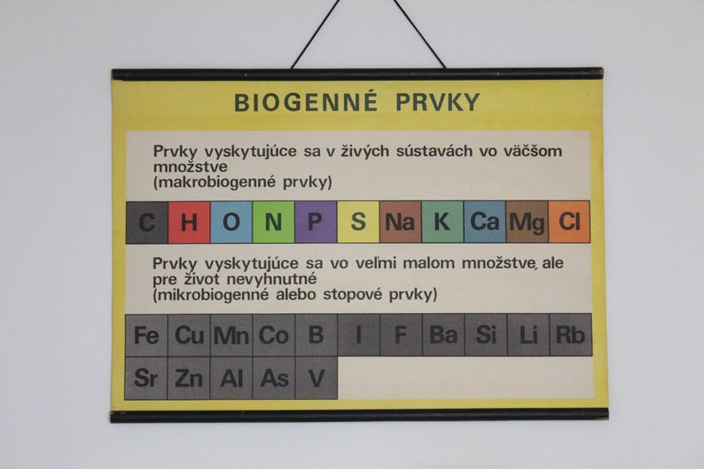 Biogenic Elements School Chart, Pull Down Poster, Original Vintage ...