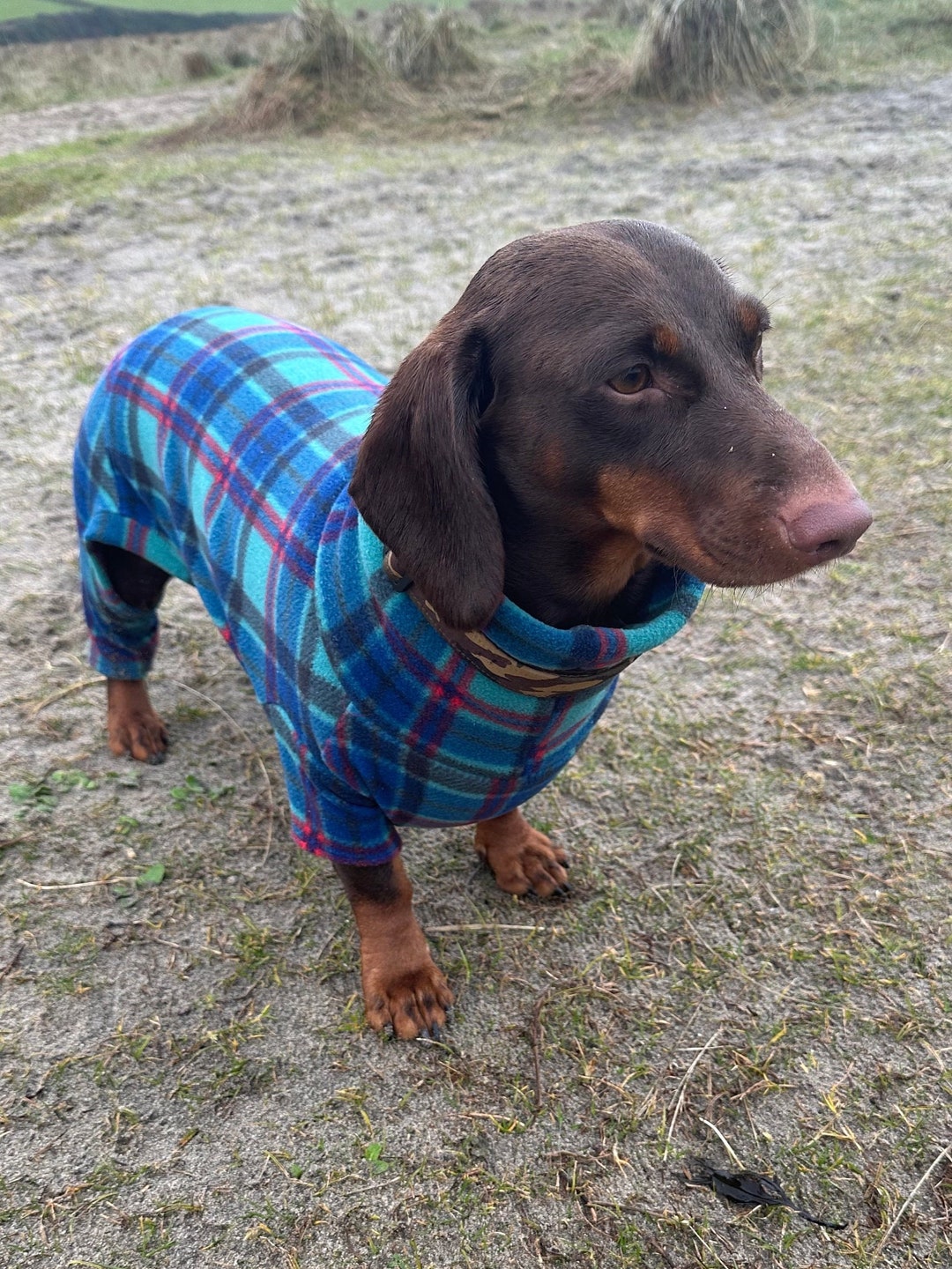 Tartan Fleece Dachshund Onesie: Water Repellent Dog Jumpsuit - Etsy