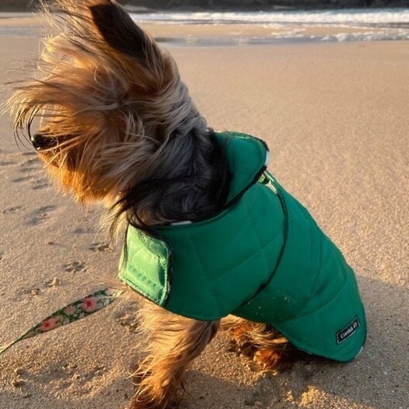 Dog Jacket - Etsy