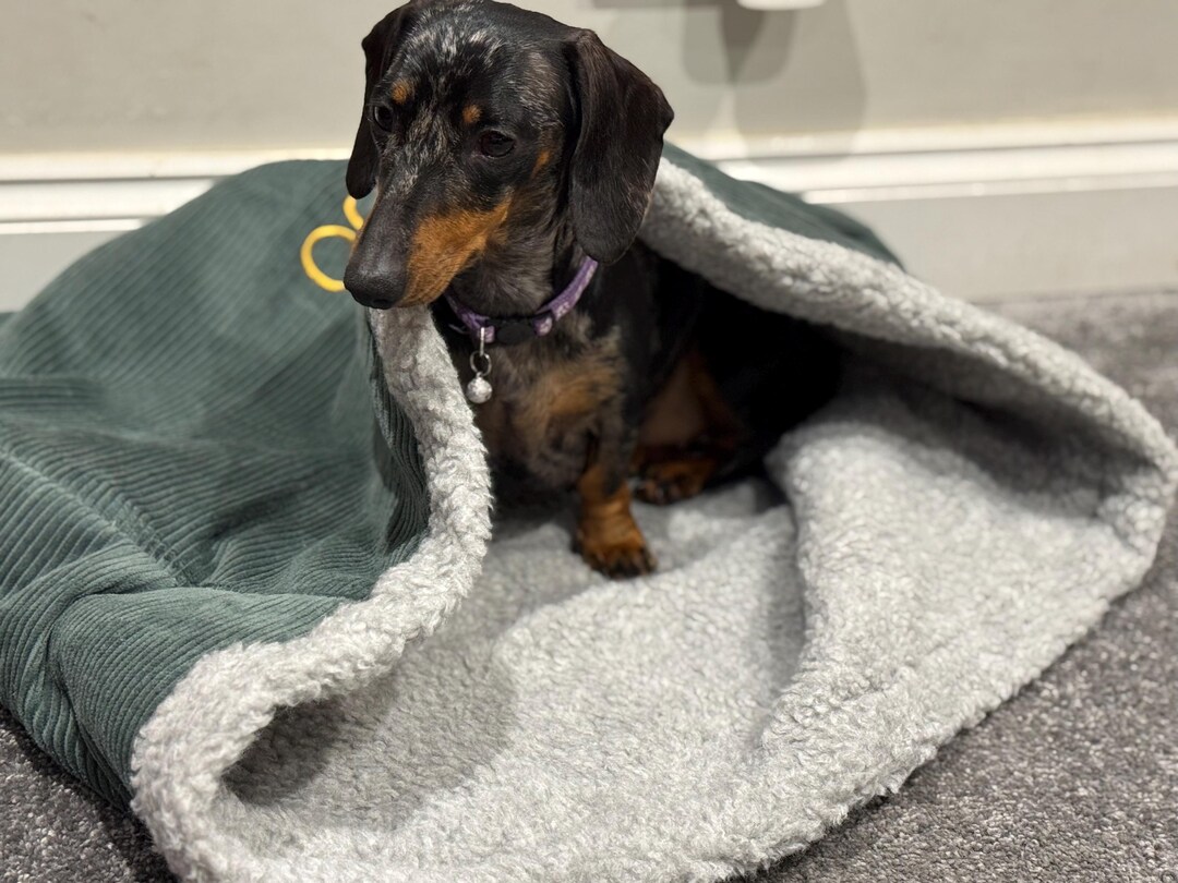 Padded Corduroy Dog Snuggle Sack: Dachshund Snuggle Sack - Etsy UK