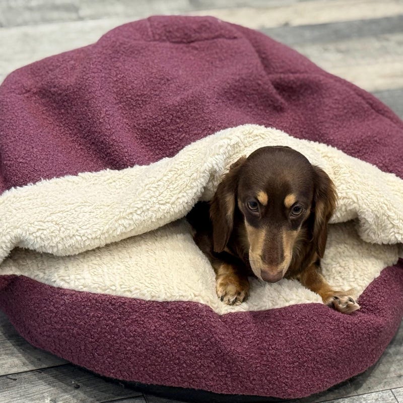 Dog Burrow Bed Bag - Etsy