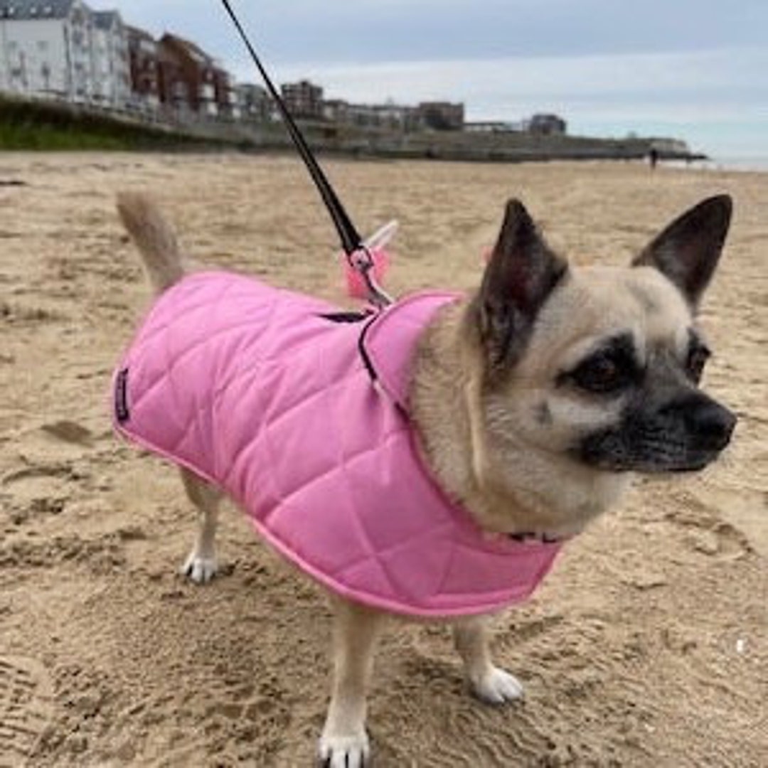 Quilted Light Pink Dog Coat, Waterproof Dog Coat, Shower Proof Dog Coat ...