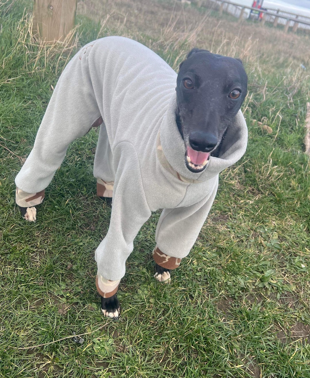 Whippet Fleece Jumpsuit: Water & Mud Repellent Dog Pajamas - Etsy
