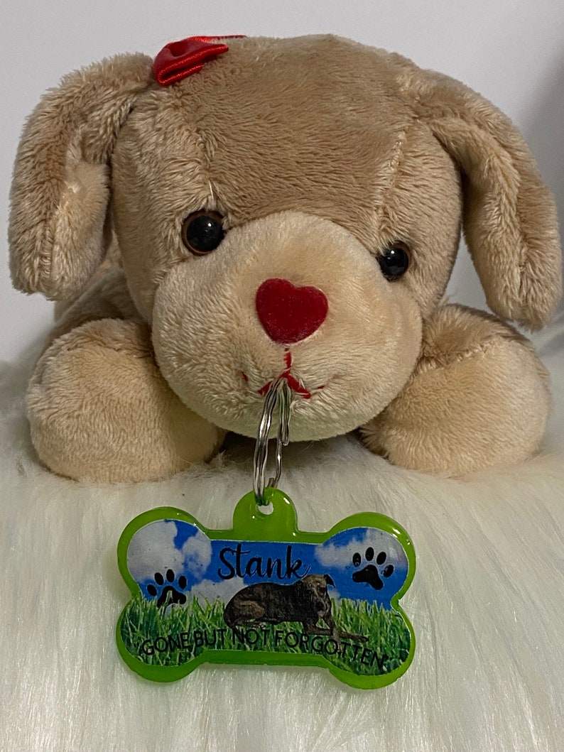 Custom Dog Tags! Pet Name Designs, Customize Your OWN Inspired Pet Tag ...