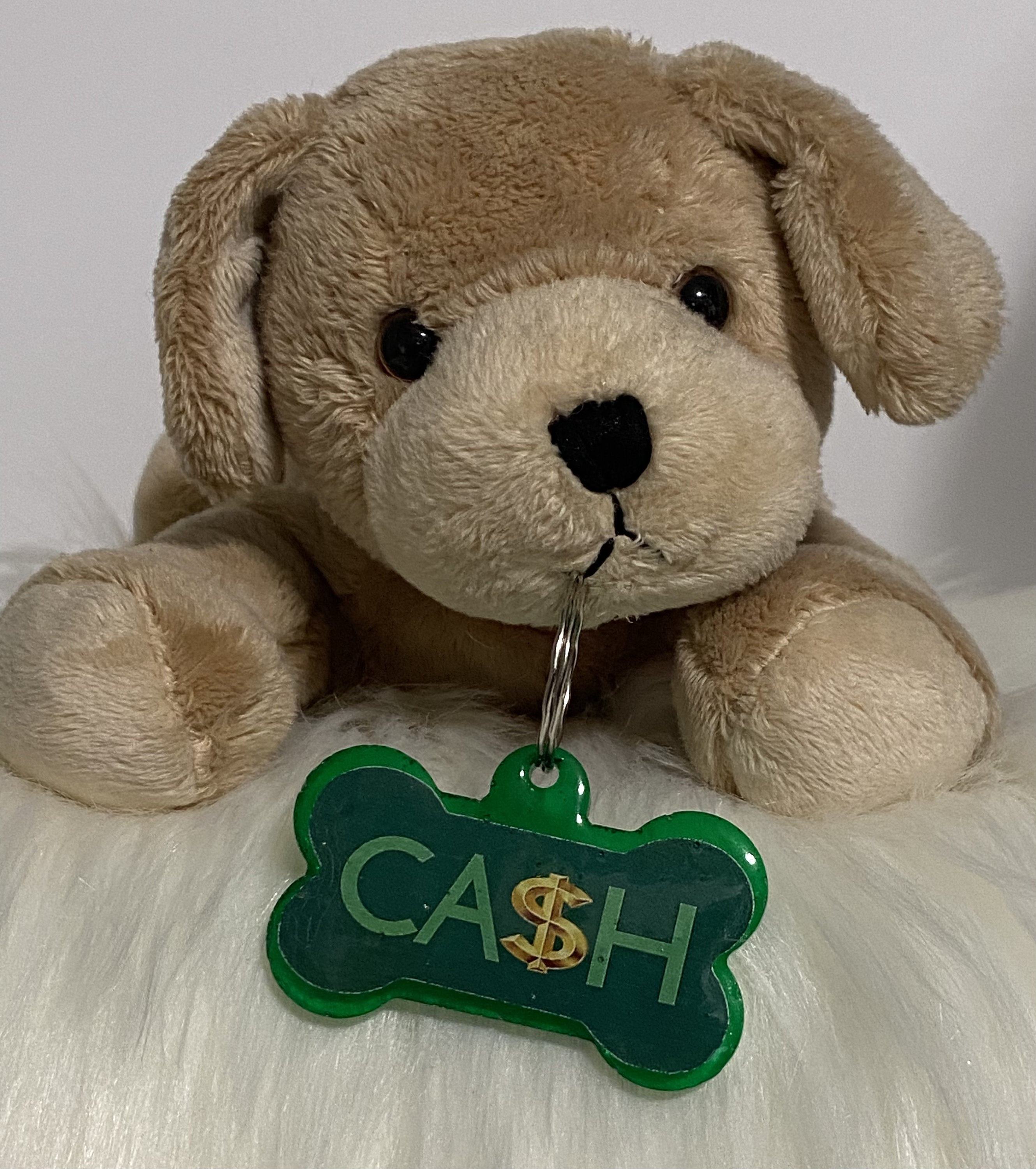 Custom Dog Tags! Pet Name Designs, Customize Your OWN Inspired Pet Tag ...