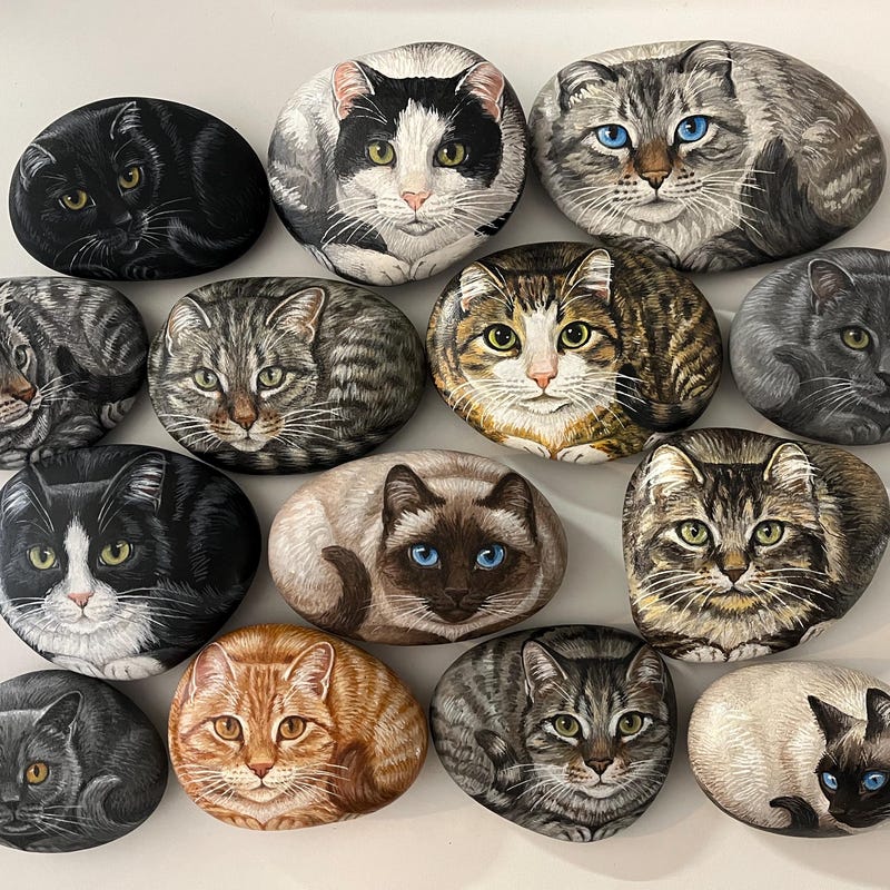 Painted Rocks Cats - Etsy