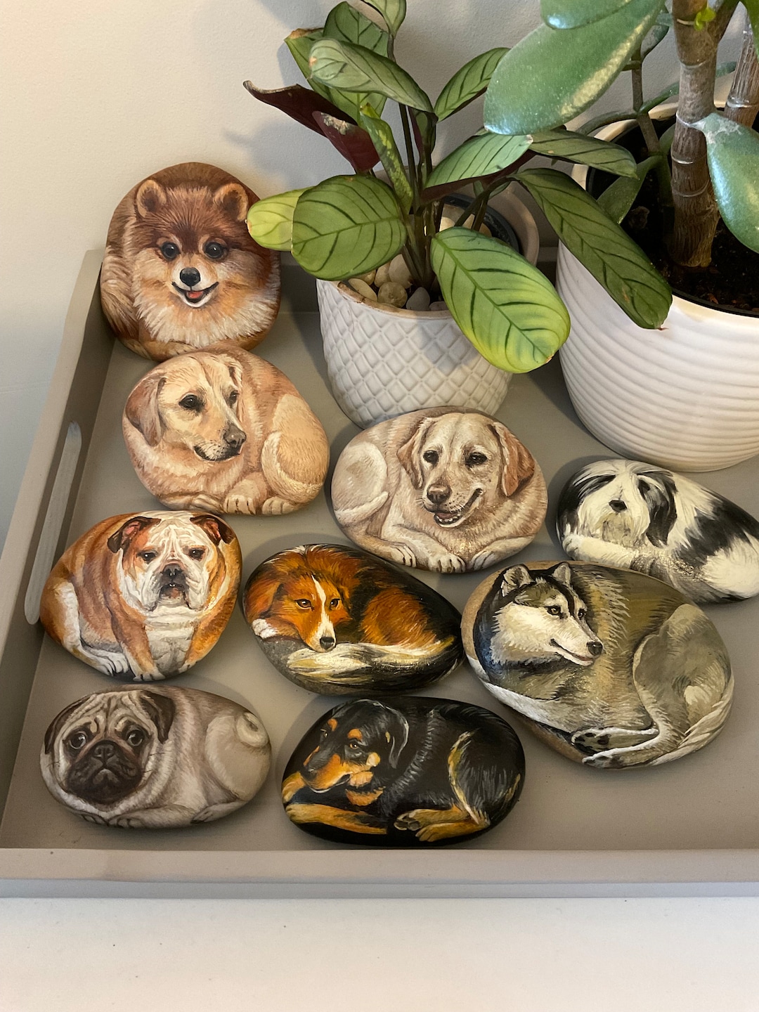 Dog Portraits on Rocks - Pet Portrait - Ready Made Painted Dogs on Rock ...