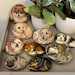 Dog Portraits on Rocks - Pet Portrait - Ready Made Painted Dogs on Rock ...