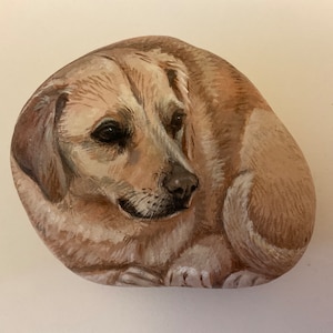 Dog Portraits on Rocks - Pet Portrait - Ready Made Painted Dogs on Rock ...