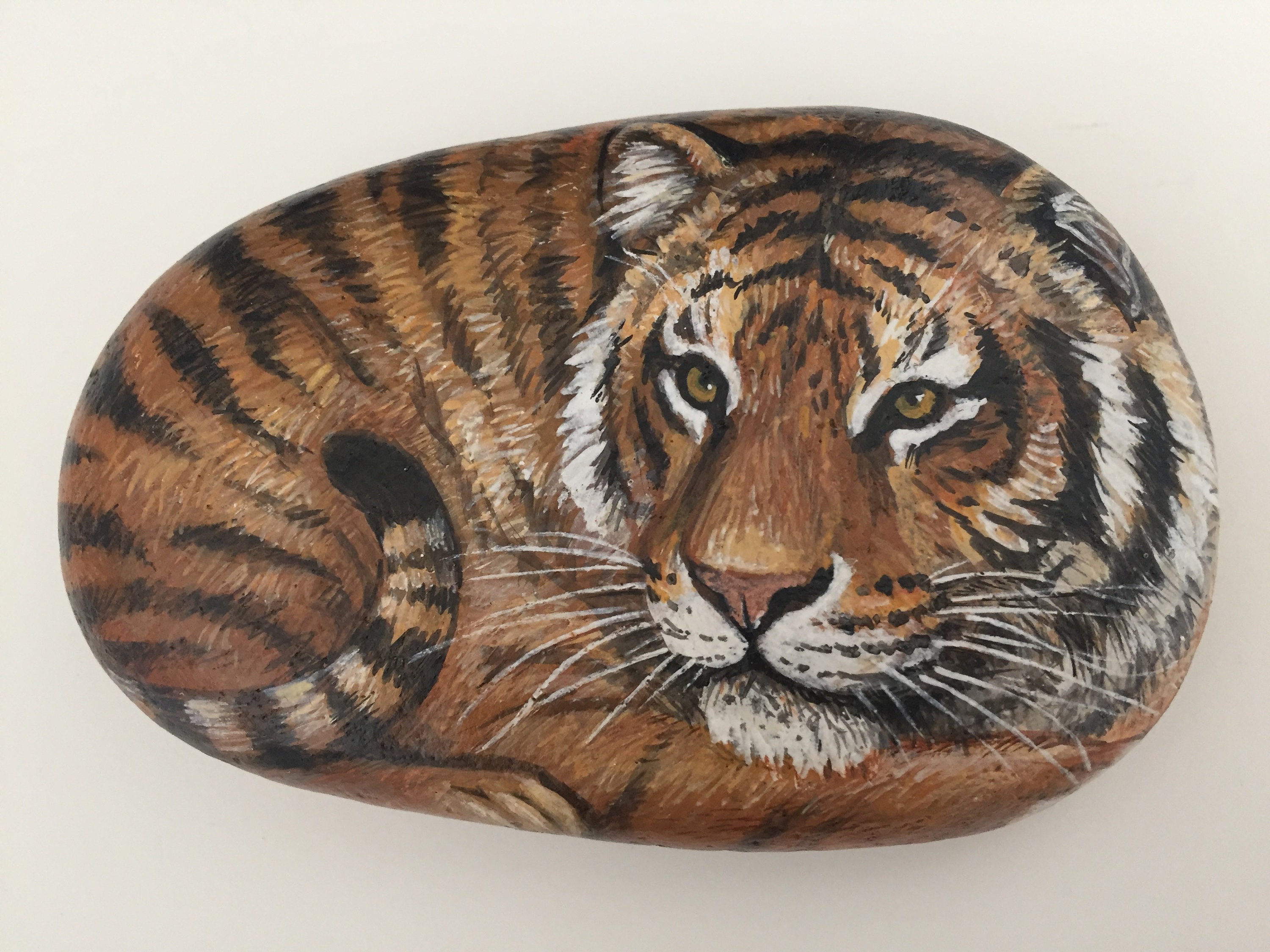 Tiger Rock Tiger Painted on Rock Original Painting - Etsy UK