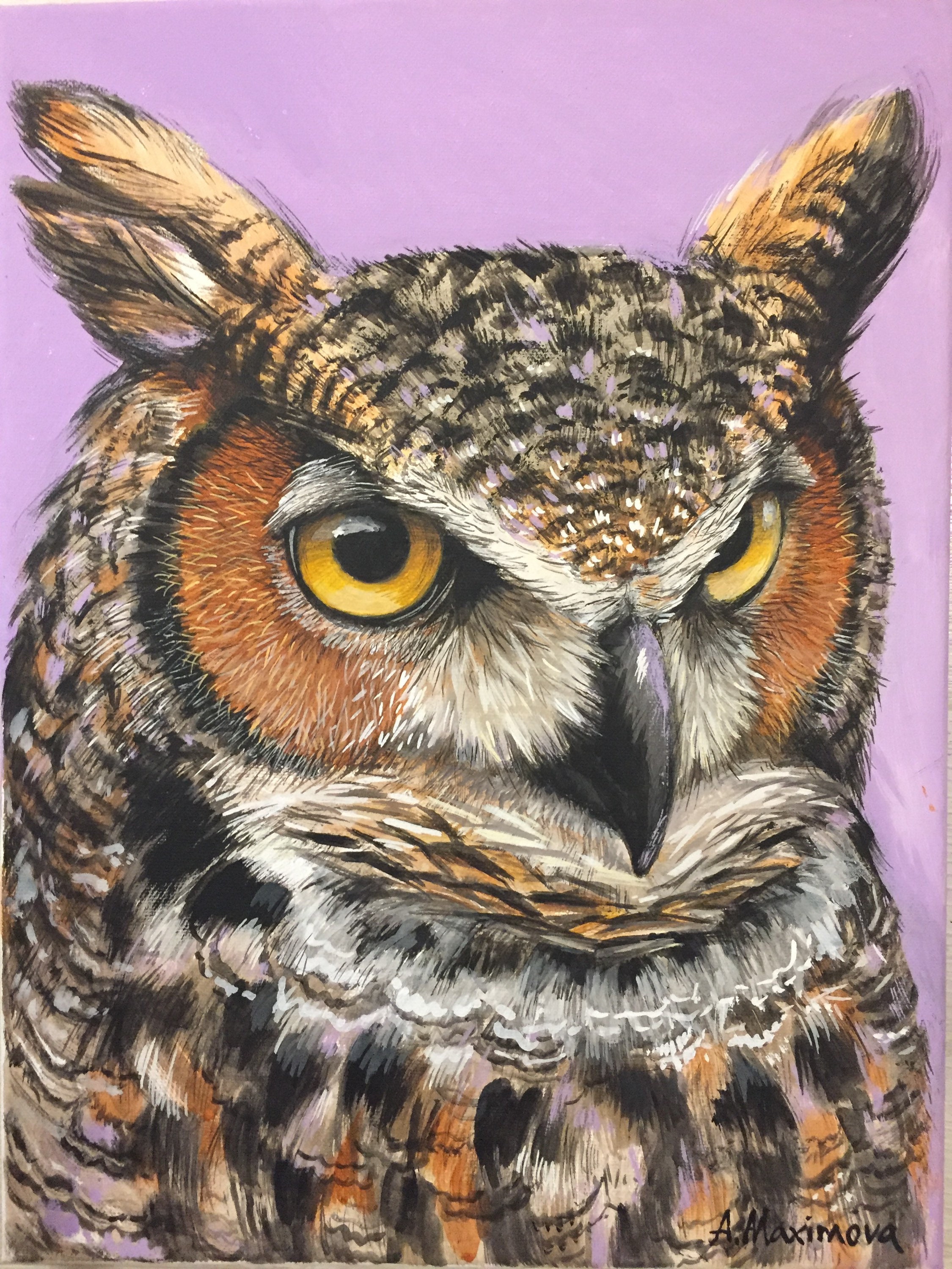 Owl acrylic painting store