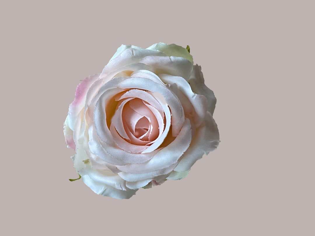 Pale Pink Silk, Small Garden Rose - Etsy