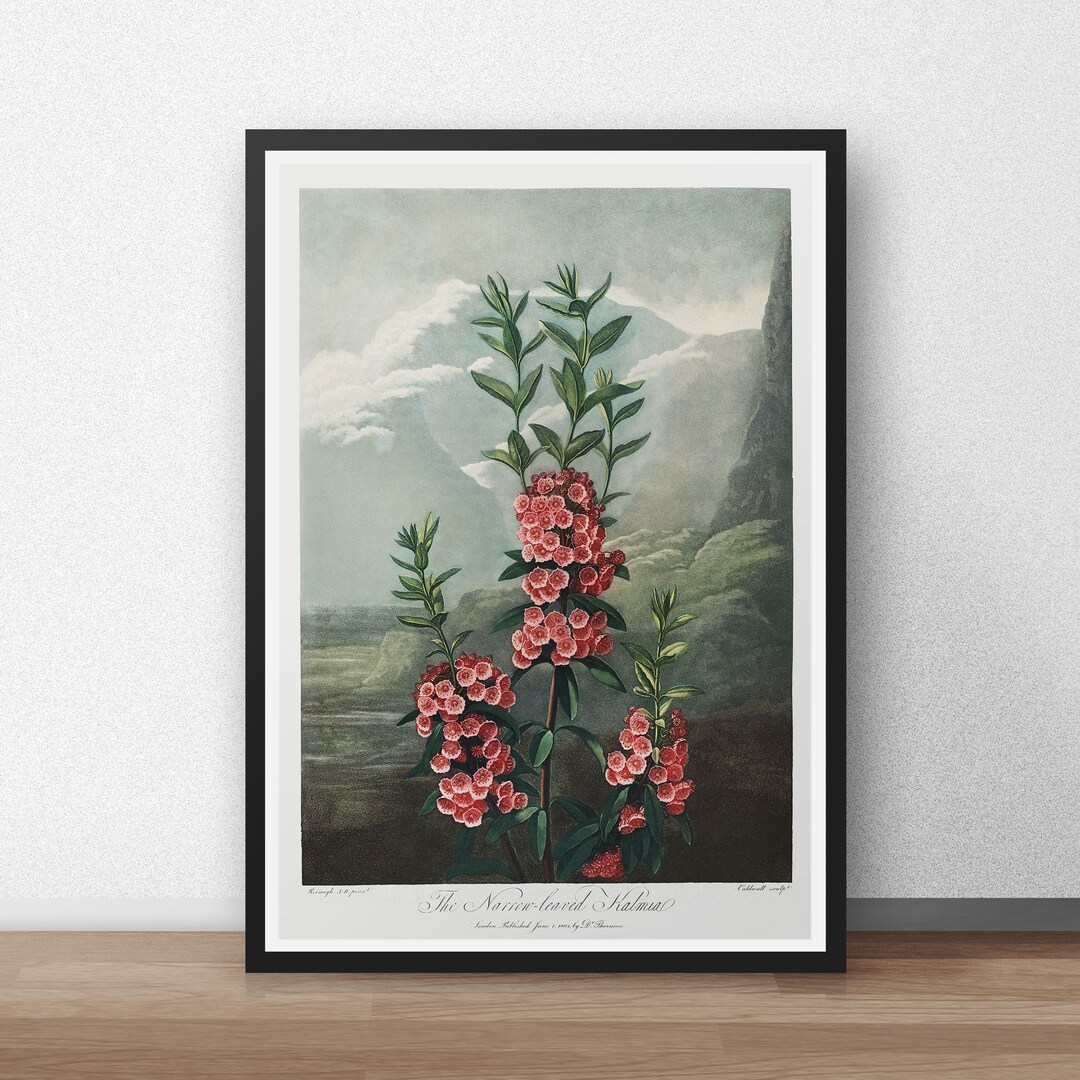 Botanical Print / Botanical Poster / Kitchen Art / Gardener - Etsy