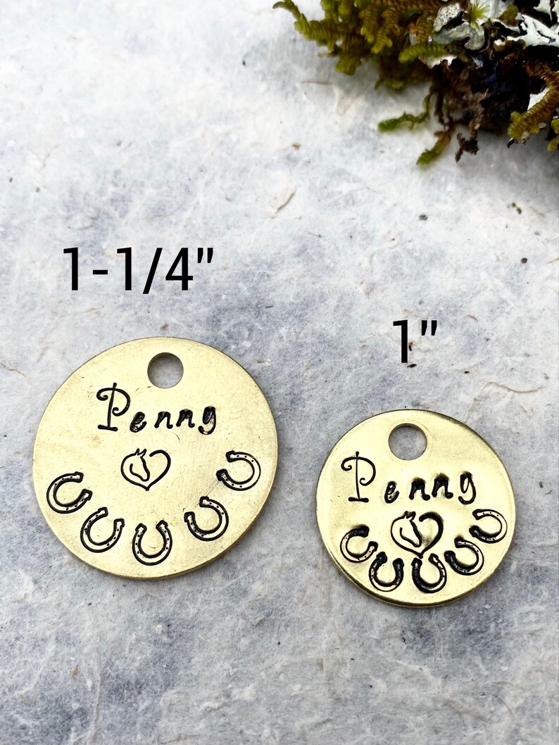 Custom Horse Name Tag for Tack & Gear | Personalized Aluminum or Brass ...