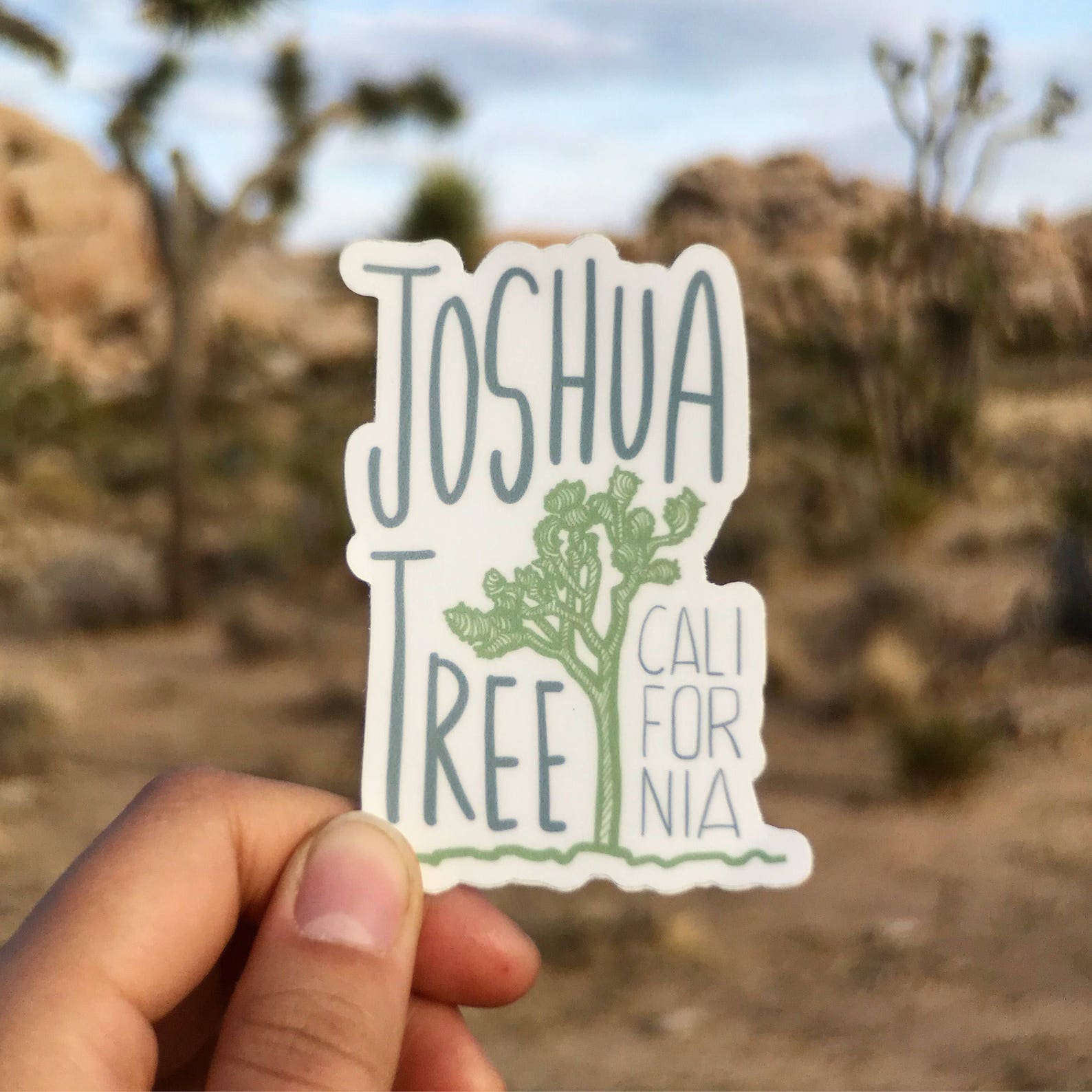 Joshua Tree // National Park Vinyl Sticker | Etsy
