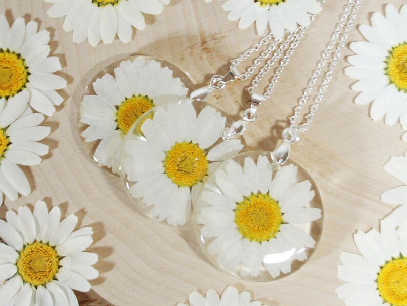 Daisy necklace Pressed Flower Necklace Natural Jewelry | Etsy