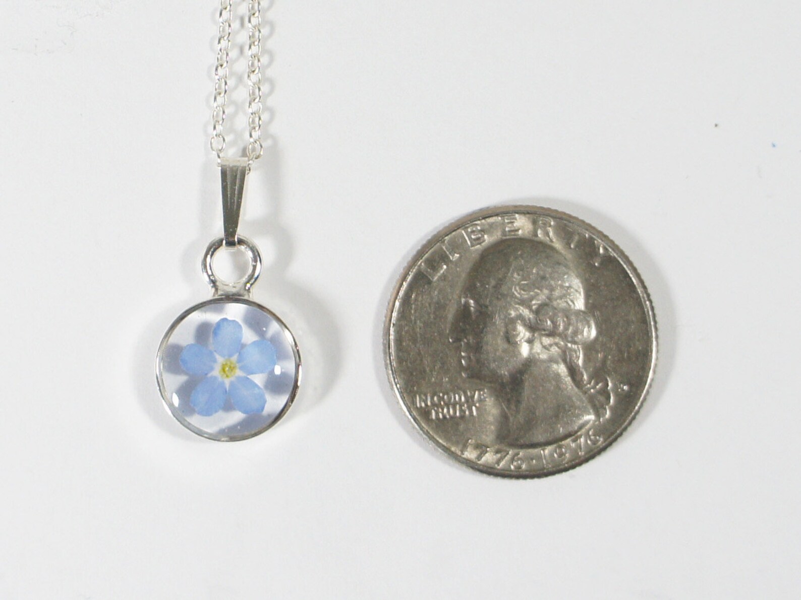 Tiny Forget Me Not Necklace Forget Me Not Jewelry Pressed - Etsy