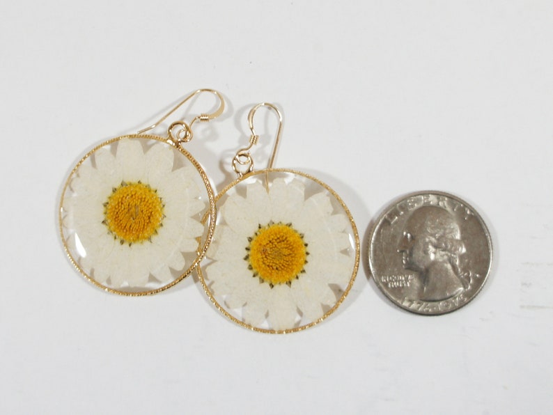 Daisy Earrings Pressed Flower Earrings Resin Daisy - Etsy