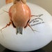 Hector Gonzalez Limited Edition Art Pottery Birds Hatching Sculpture 29 ...