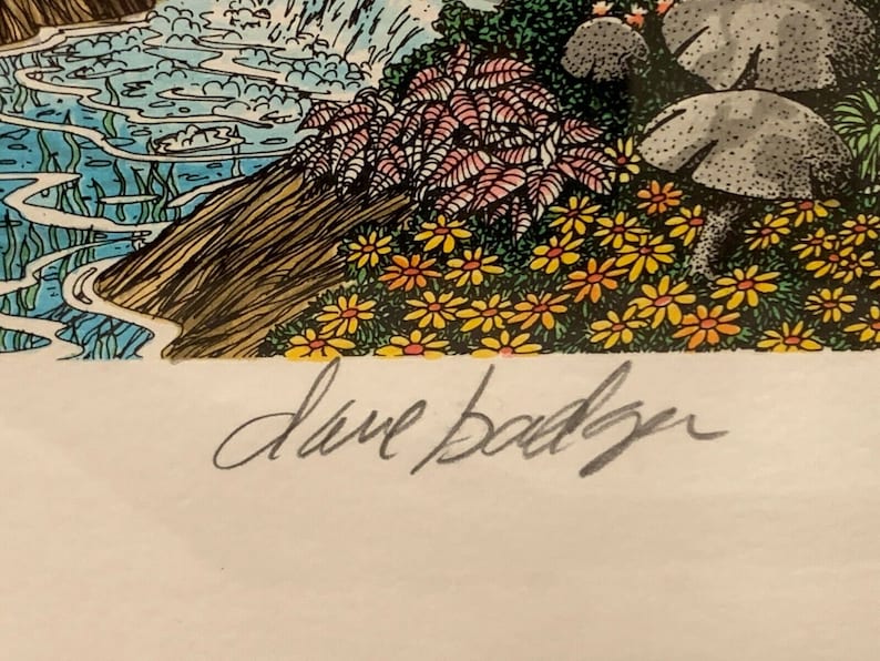 Dave Badger Signed "catching the Wind" Limited Edition (362/395 ...