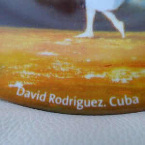 Decorative Wall Plates Depicting Paintings by Artist David Rodriguez - Etsy