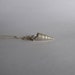 Sterling Silver Seashell Necklace Unicorn Horn Seashell Necklace ...