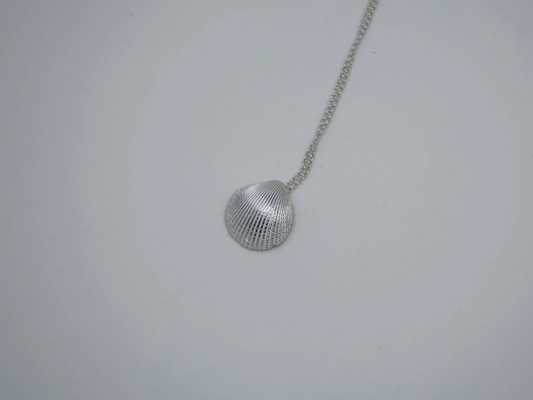 Sterling Silver Sea Shell Necklace Clam Shell Necklace | Etsy